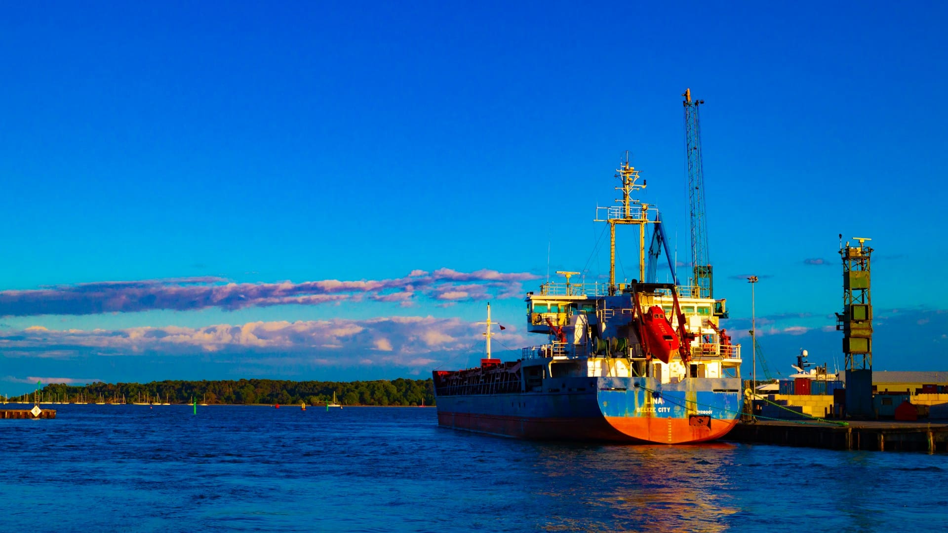 International Freight Management That Reduces Risk, Not Just Cost